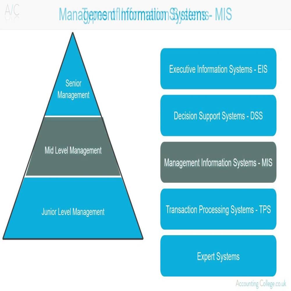 ACCY936 Analysis Of Management Information Systems And Financial